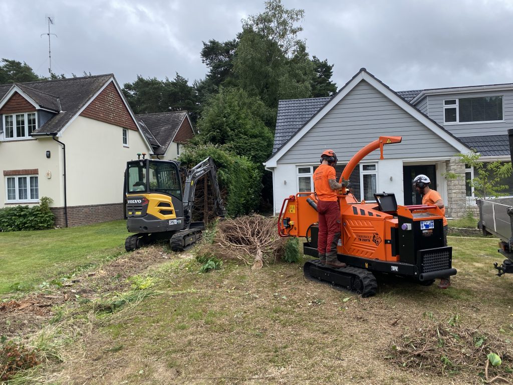 Contact Us | S Draper Tree Specialists